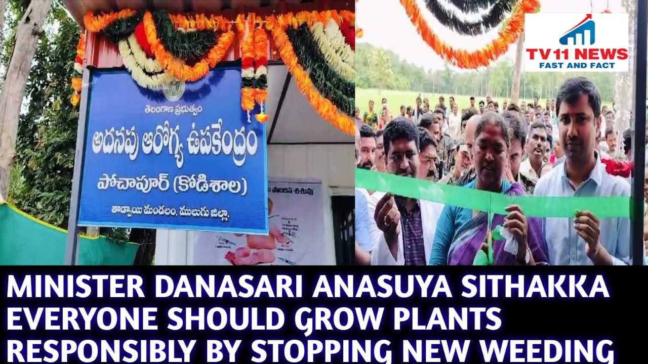 MINISTER DANASARI ANASUYA SITHAKKA EVERYONE SHOULD GROW PLANTS ...