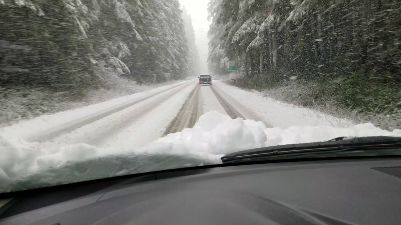 Through the Natural Area in the Rainforest (with snow). - YouTube