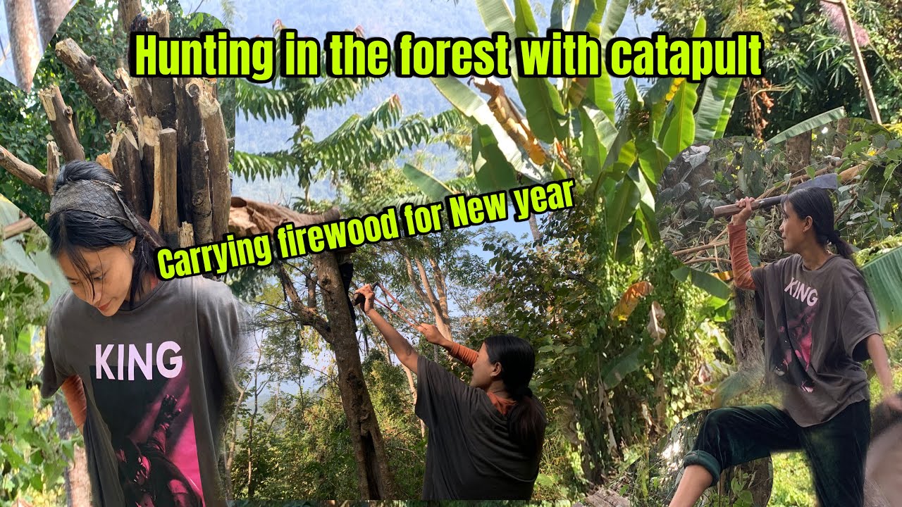 Hunting with catapult ||Collecting firewood in the jungle for New year ...