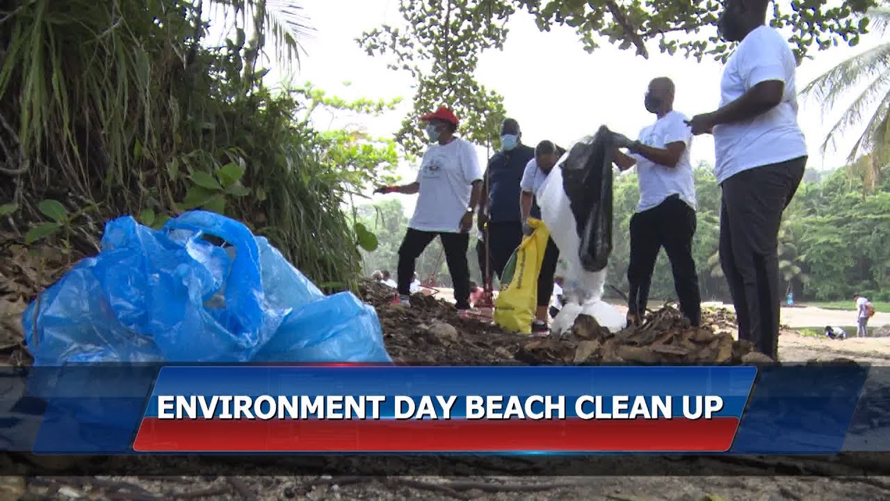 Environment Day Beach Clean Up - YouTube