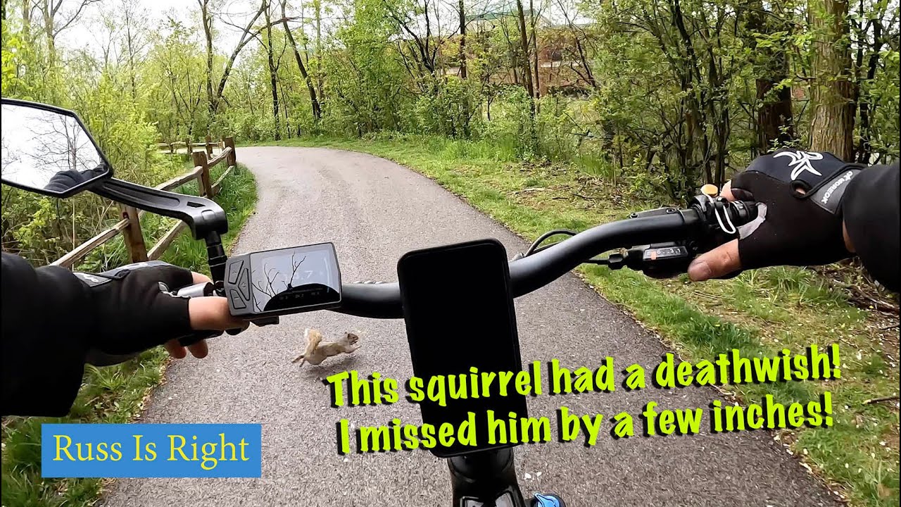 This Squirrel Was Lucky - Almost Squished Him! - YouTube