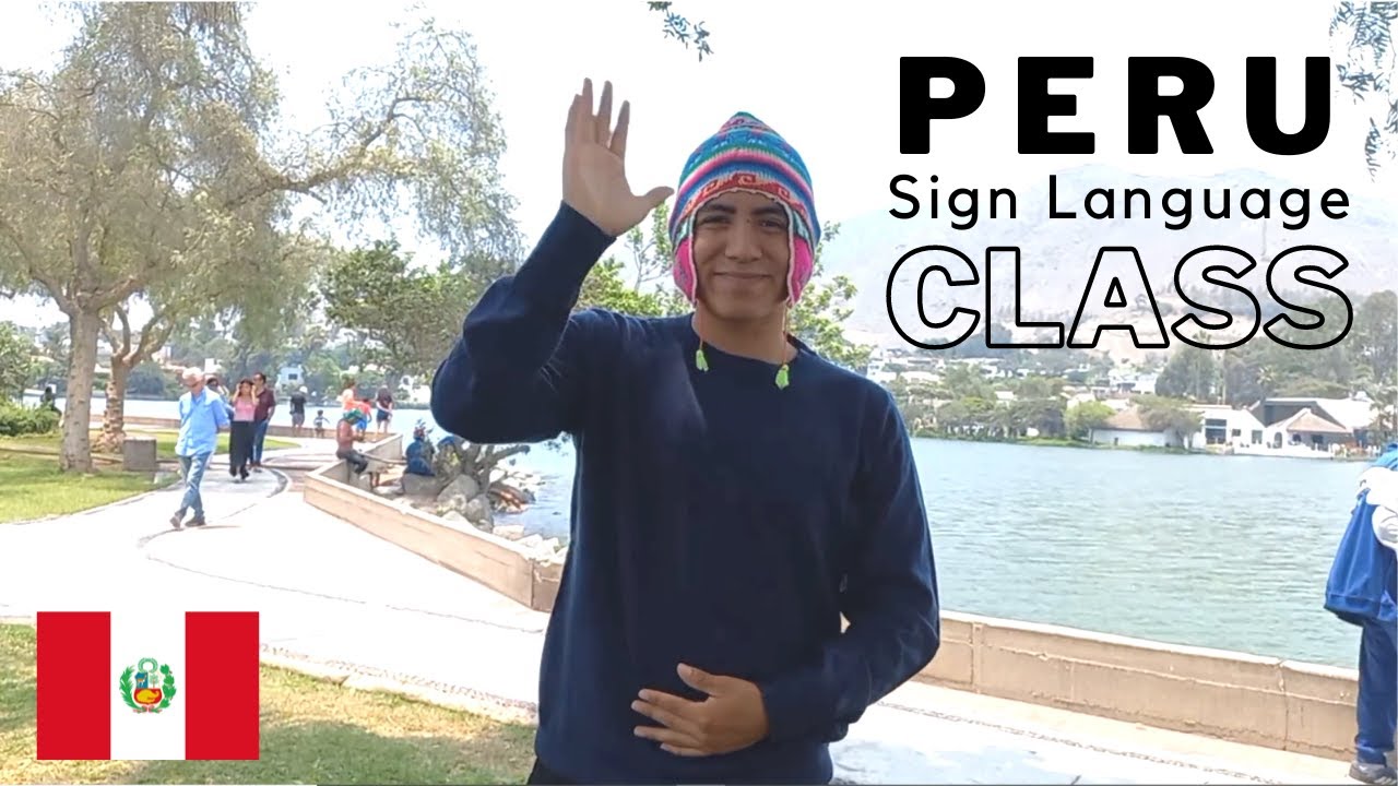 Learn PERUVIAN Sign Language (LSP) with Dann! | Online Class on ...