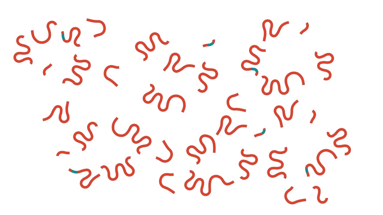 TraDIS: Transposon Directed Insertion Site Sequencing - YouTube