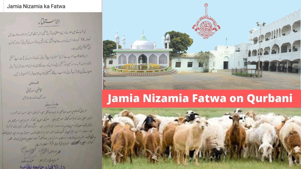 Jamia Nizamia Fatwa on Qurbani | COVID19 Bakrid 2020 - IND TODAY - YouTube