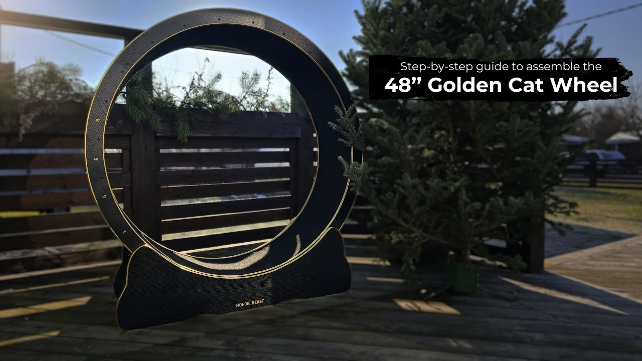 How to Assemble the 48'' Golden Cat Wheel? Easy Step-by-Step ...