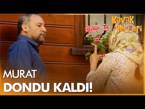 Hafize Ana, Murat'a Tokat Attı - Kavak Yelleri 16. Bölüm