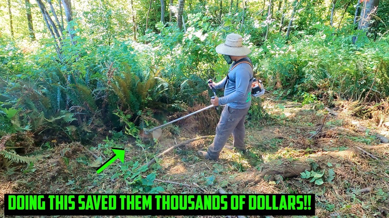 Underbrush Clearing With An OVERSIZED WEED EATER?! Brush Clearing Stihl ...