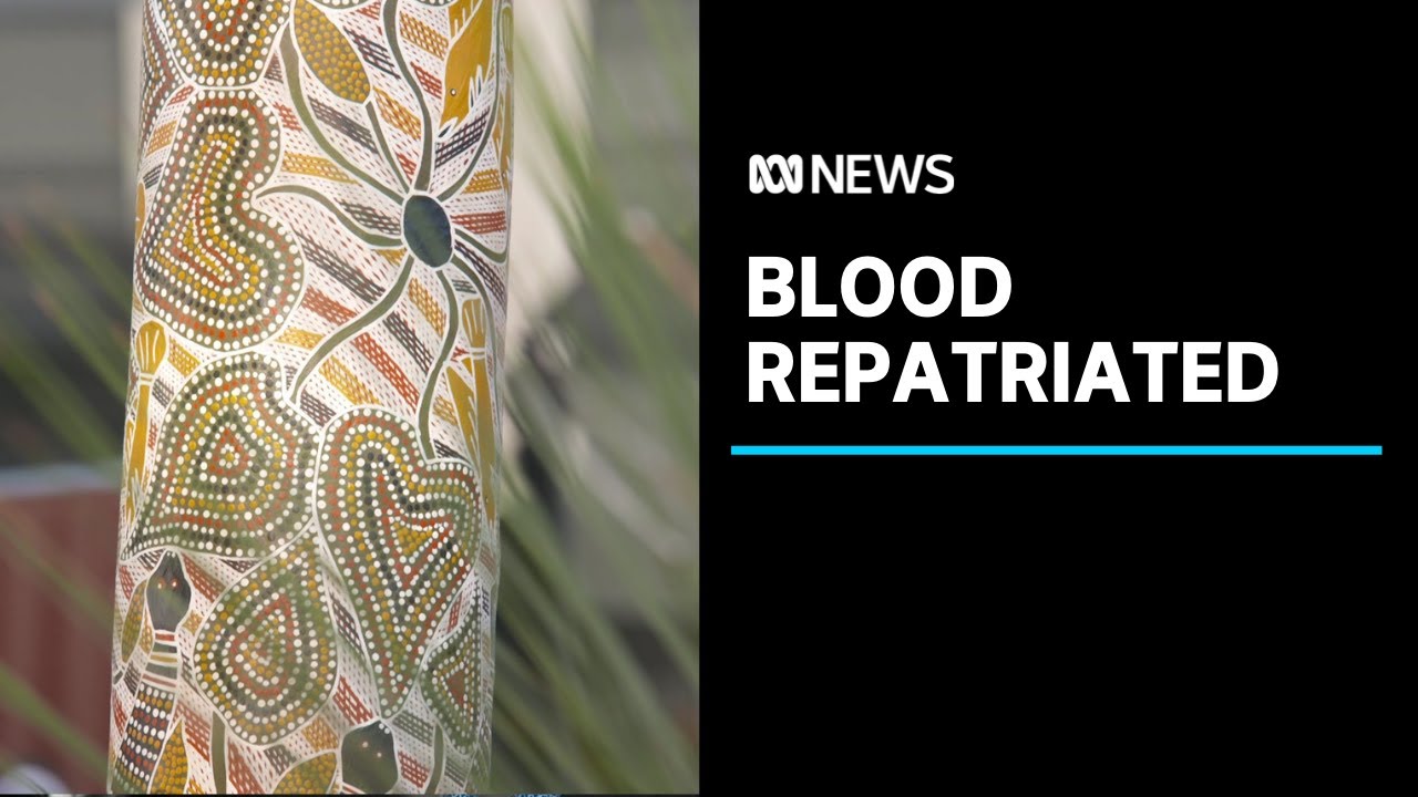 Indigenous blood returned to country | ABC News - YouTube