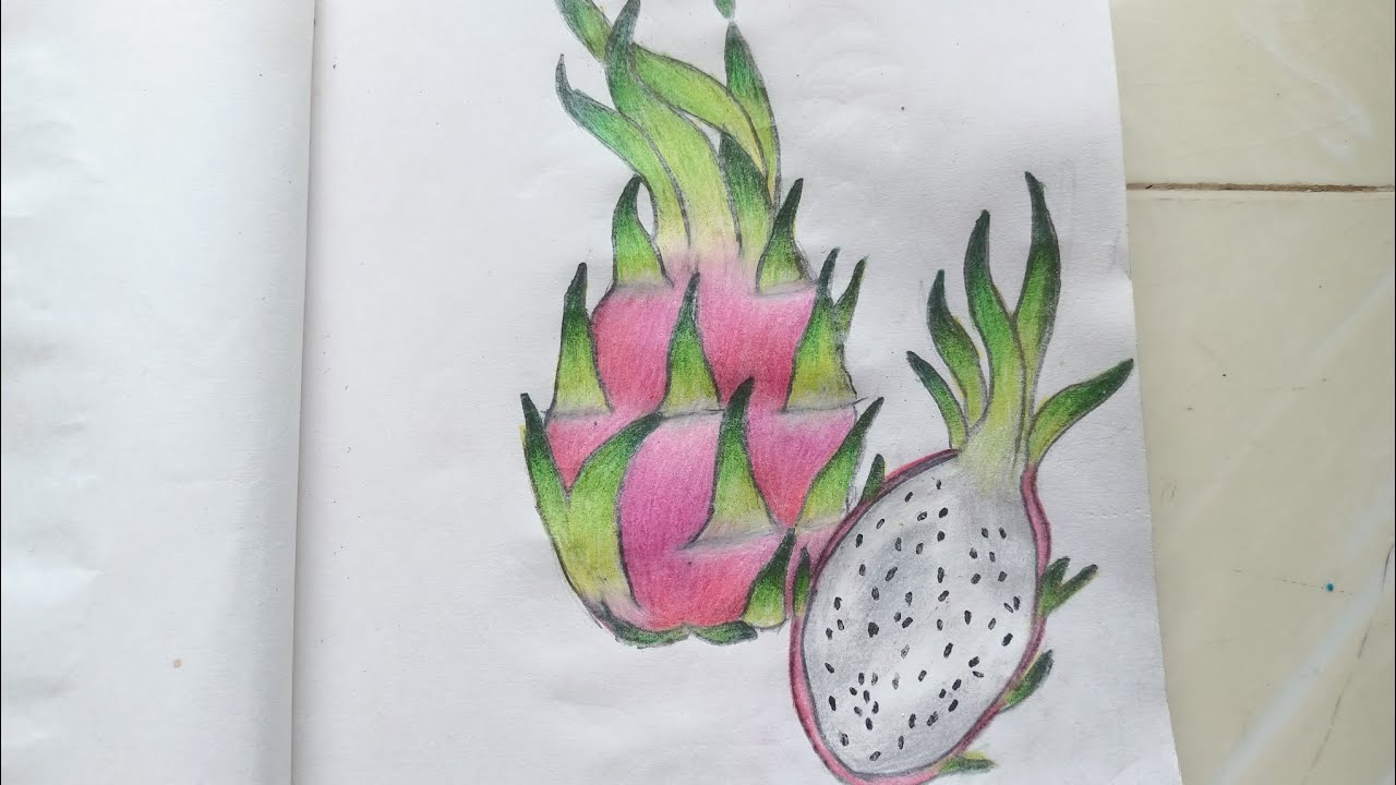 How to draw dragon fruit step by step.#takydrawing #beautifuldrawing # ...