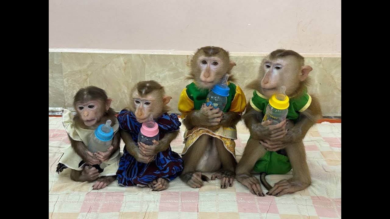 4Siblings Sit Hugging Bottle Water Each Very WELL-MANNERED Waiting Mom ...