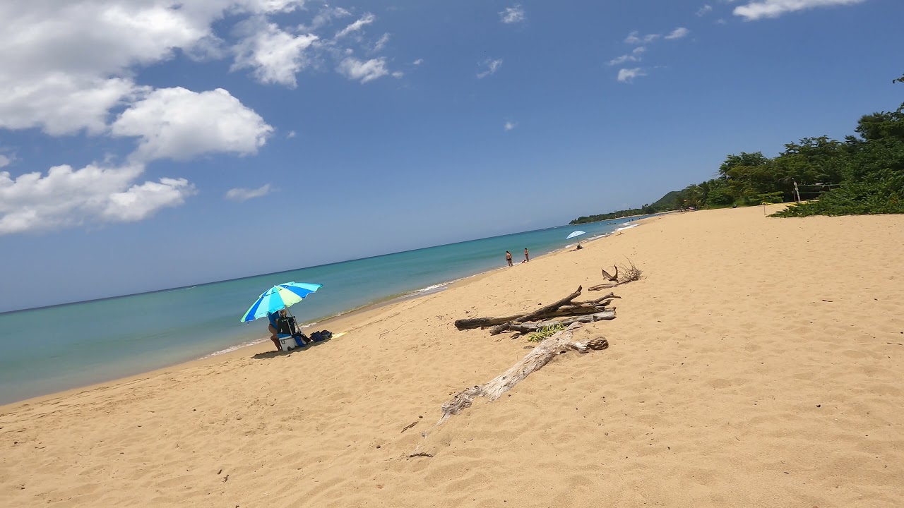 First day walking Playa Doña Lala Beach in Rincon, Puerto Rico - YouTube