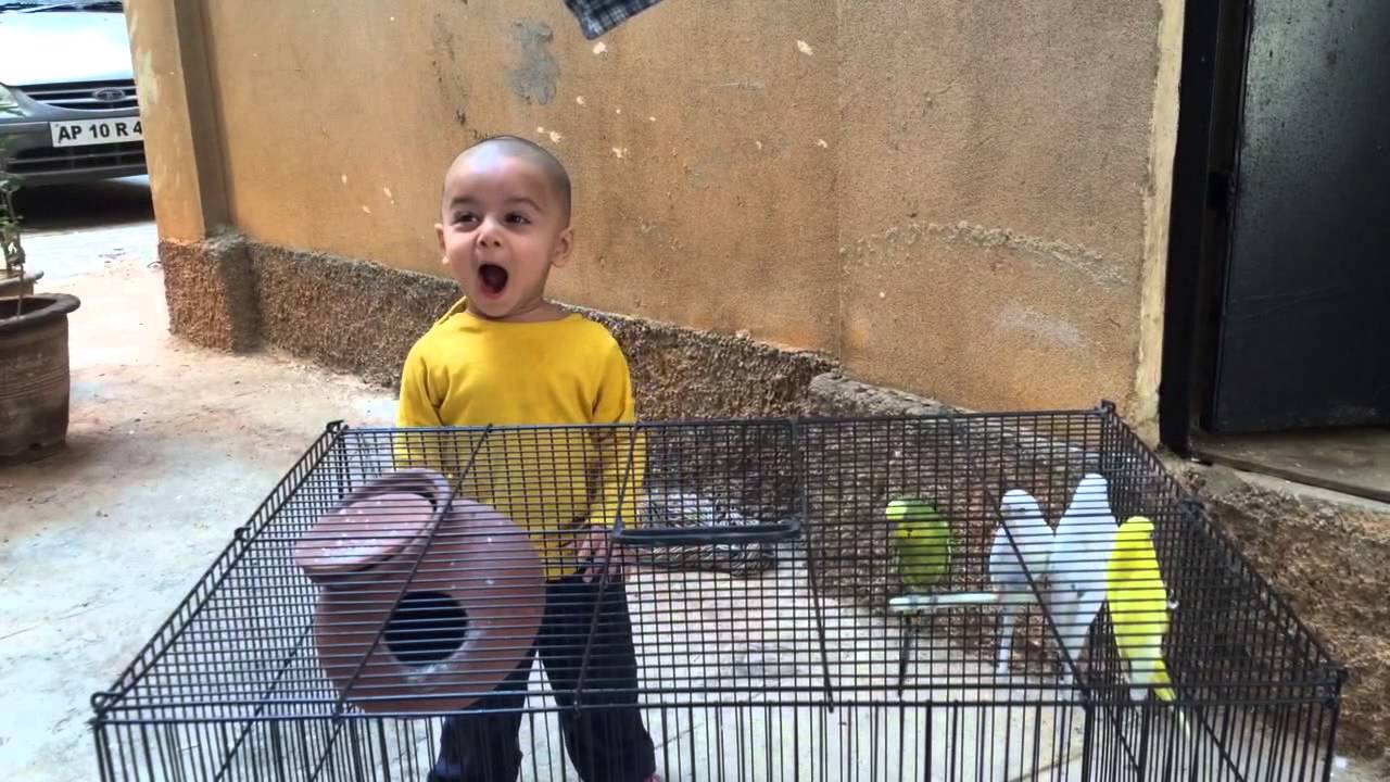 Xo bird time - YouTube