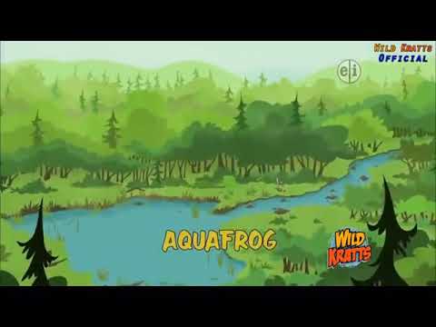 Wild Kratts Aqua Frog part 1 - YouTube