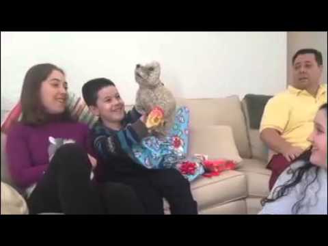 Pop-pop Tribute Video