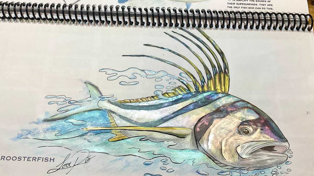 Roosterfish Art