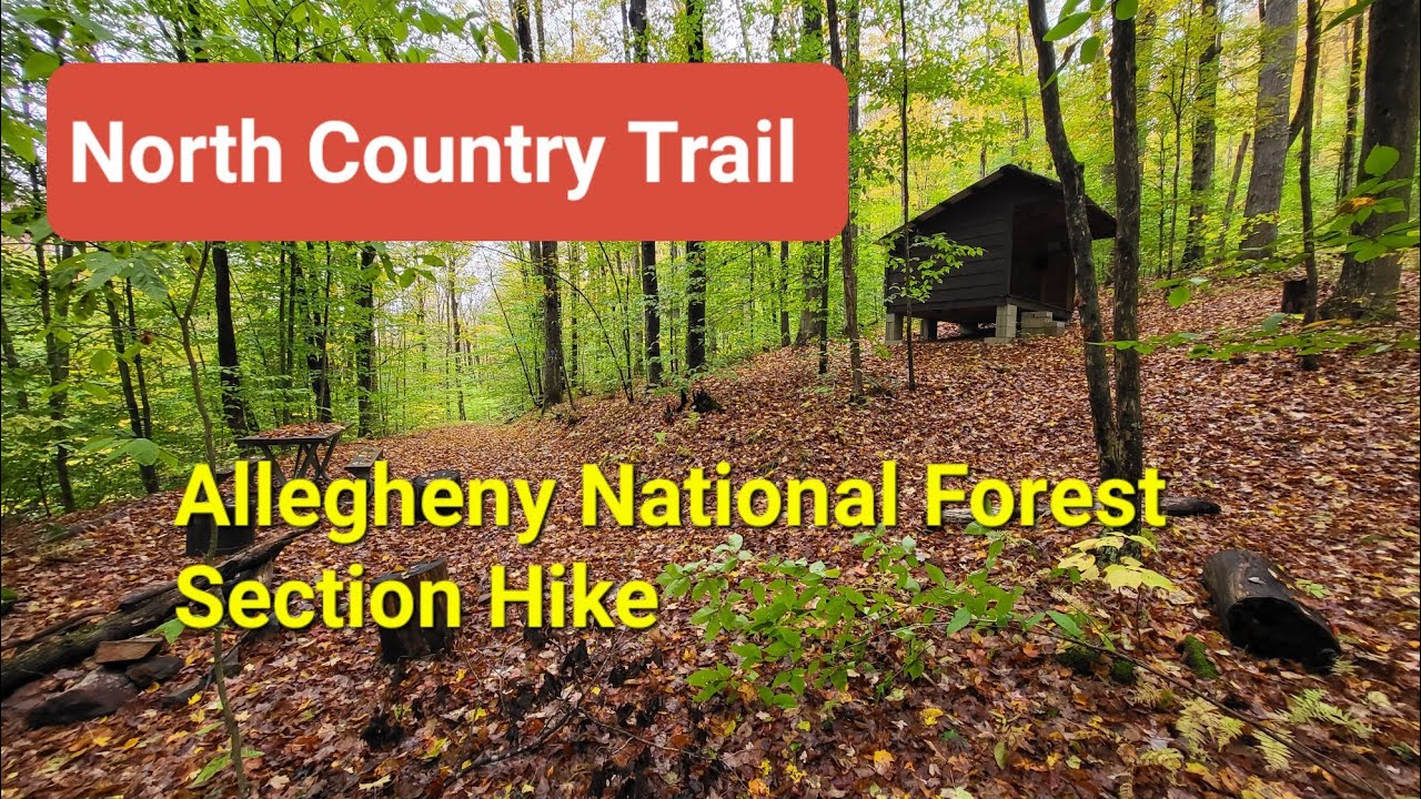 North Country Trail Allegheny National Forest Allegheny National