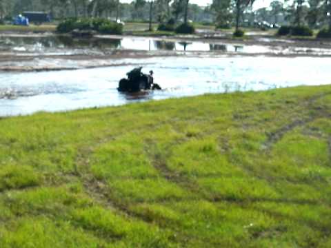 Triple Canopy Ranch - YouTube