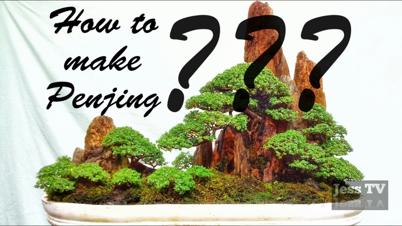 PAANO GUMAWA NG PENJING? / HOW TO MAKE PENJING ( Bonsai landscape ...