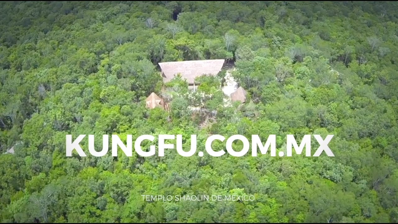 Campamento Shaolin en Templo Shaolin Riviera Maya - YouTube