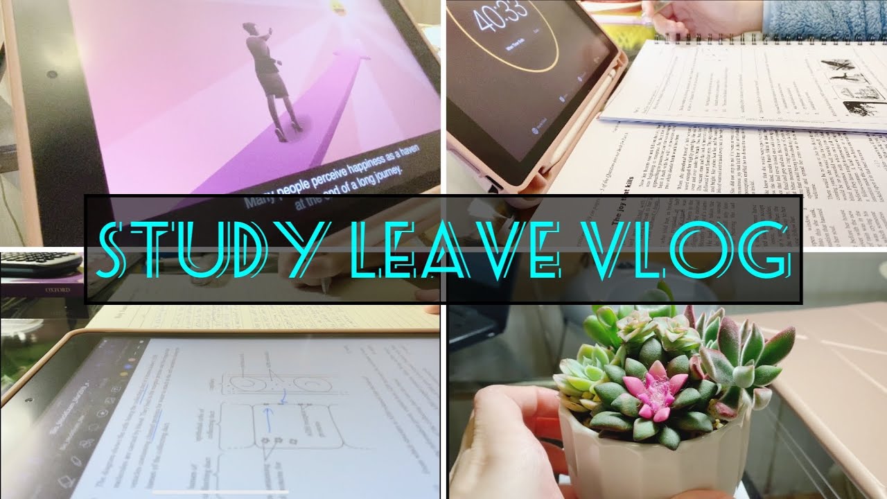 非一般的DSE Study leave vlog｜2022dser｜Bio英文讀書心得｜Apple pencil開箱|香港中學生|study vlog - YouTube