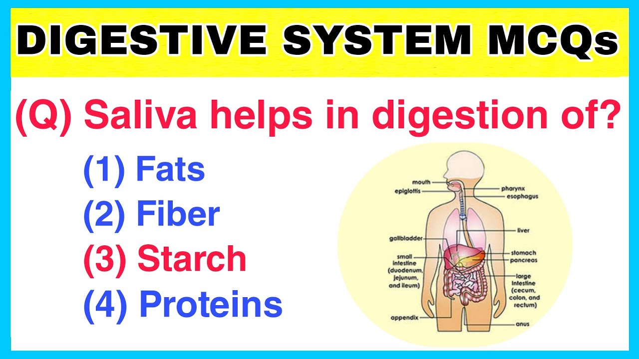 Digestive System MCQs | Human Digestive System| Biology MCQs | General ...