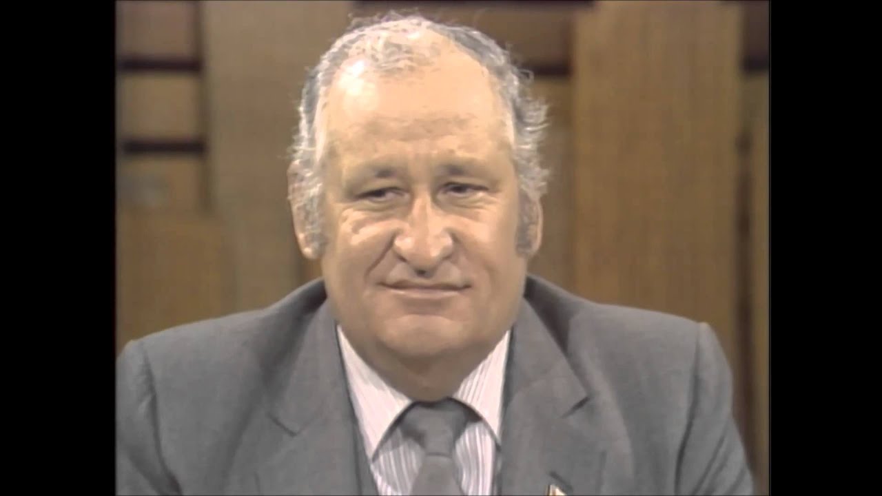 Webster! Full Episode October 28, 1980 - YouTube