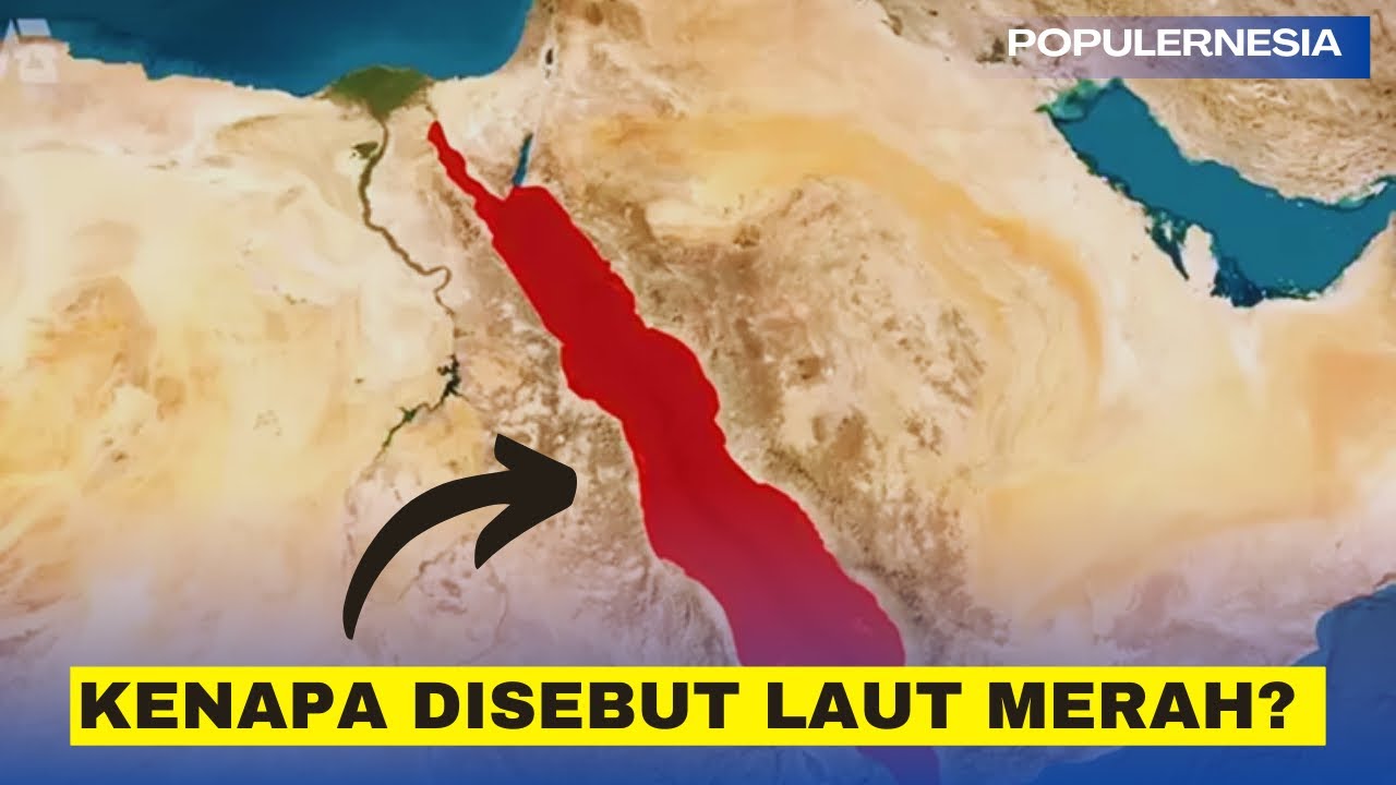 Fakta Laut Merah, Bagaimana Sejarah Laut Merah? | POPULERNESIA - YouTube