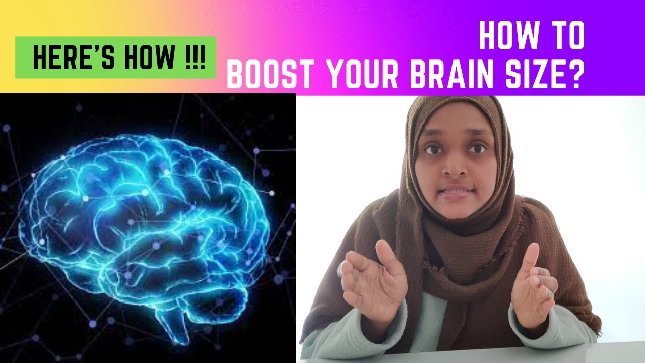 How to boost your brain size? Biohack your brain - YouTube