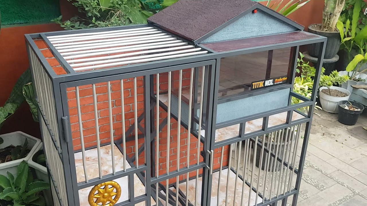 Desain Rumah kucing Diraja 2021 - YouTube