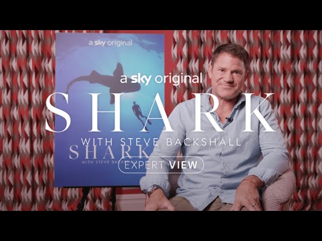 Steve Irwin Shark Quotes Walking Sharks Discovered Near Australian