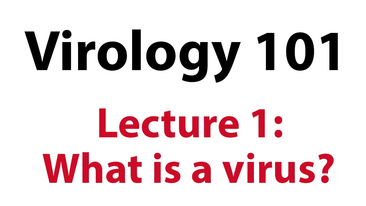 [Virology 101] Lecture 1: What is a virus? - YouTube
