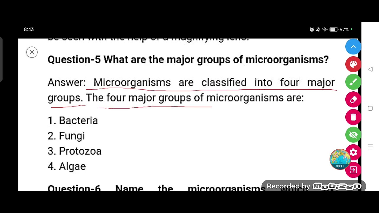 What are the major groups of microorganisms? - YouTube