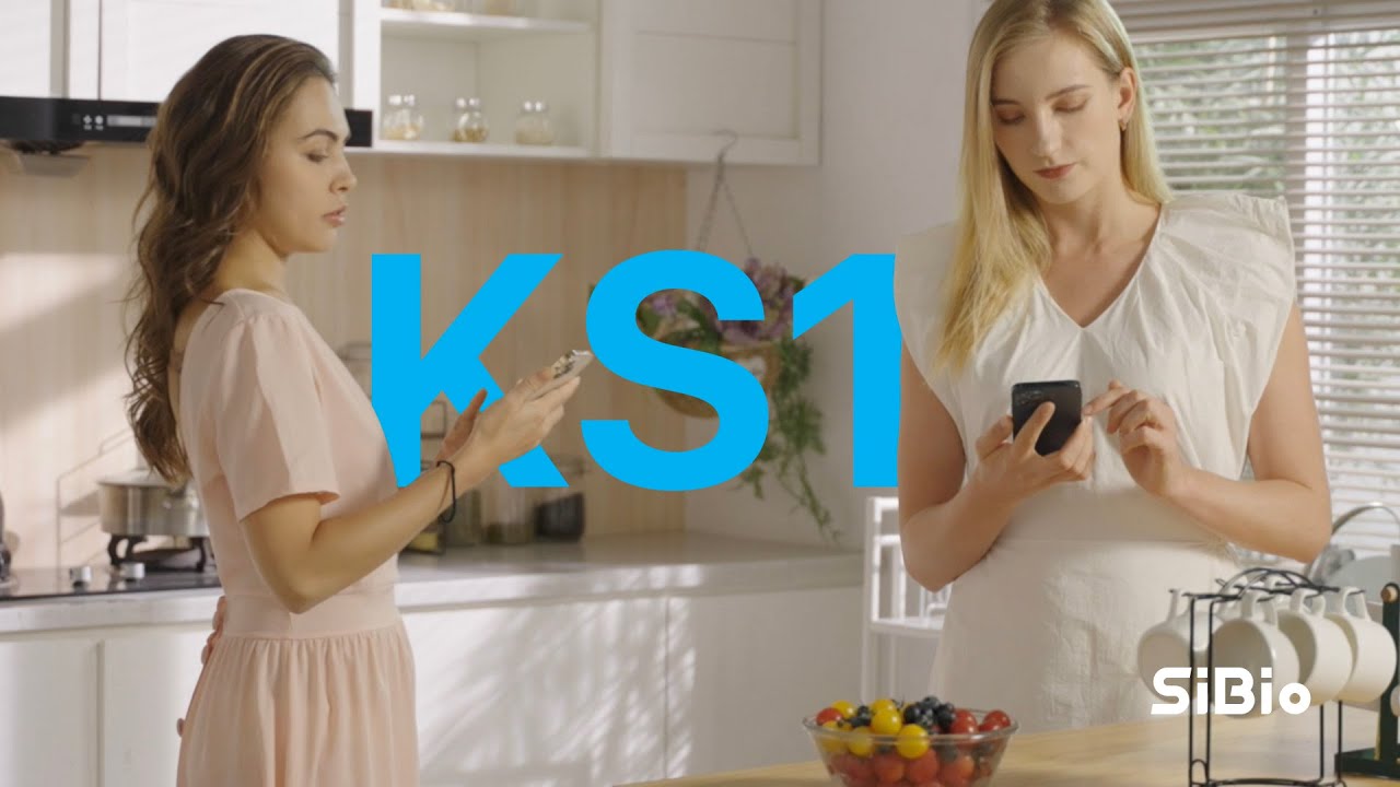 SiBio KS1 - 24Hour/14 Days/Updated Every 5 Minutes - Continuous Ketone ...