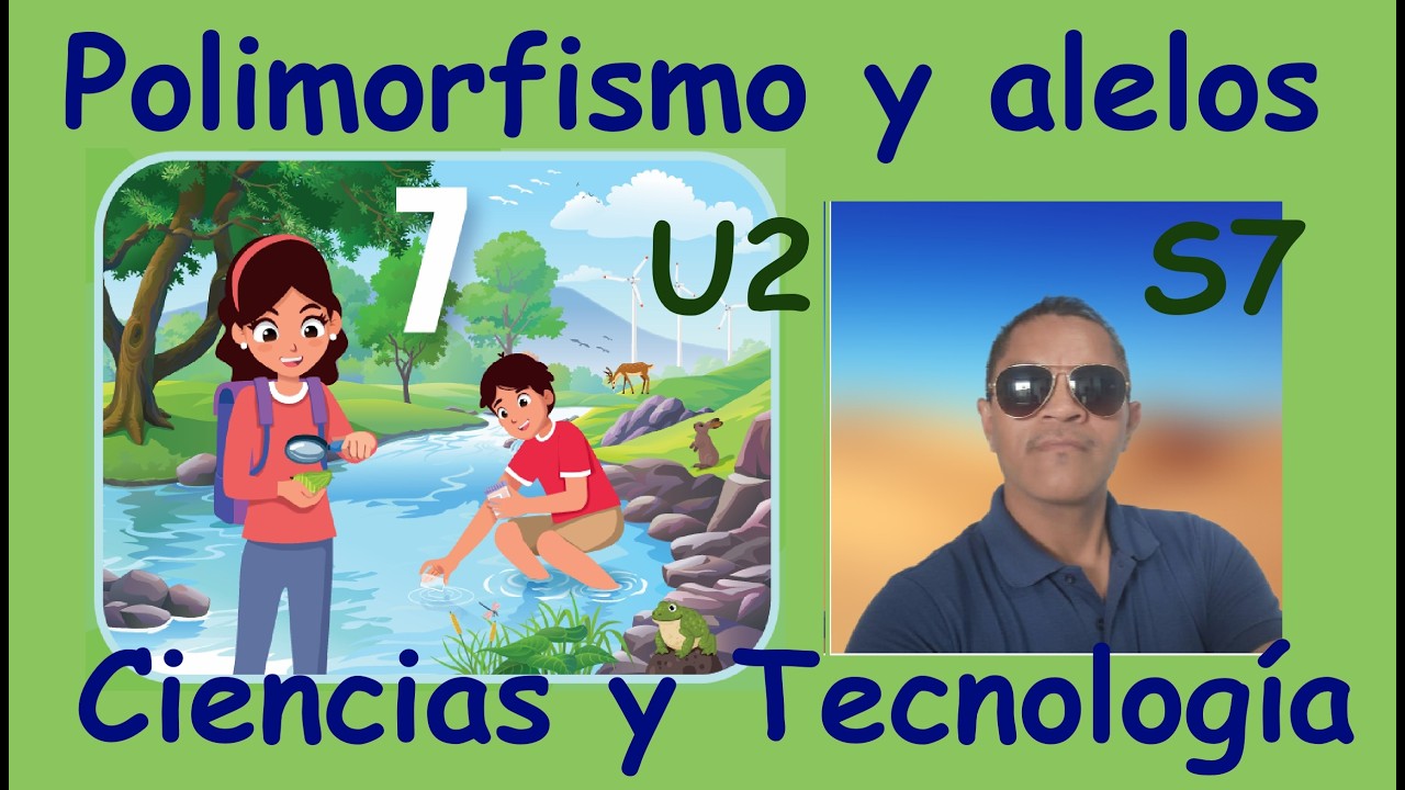 Polimorfismo y alelos, Ciencias y Tecnología Cuaderno de trabajo 7 ...