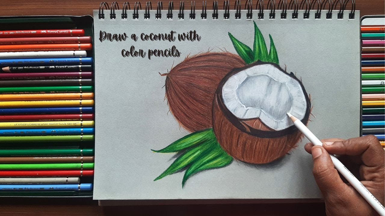How to Draw a Realistic Coconut Step by Step! - YouTube