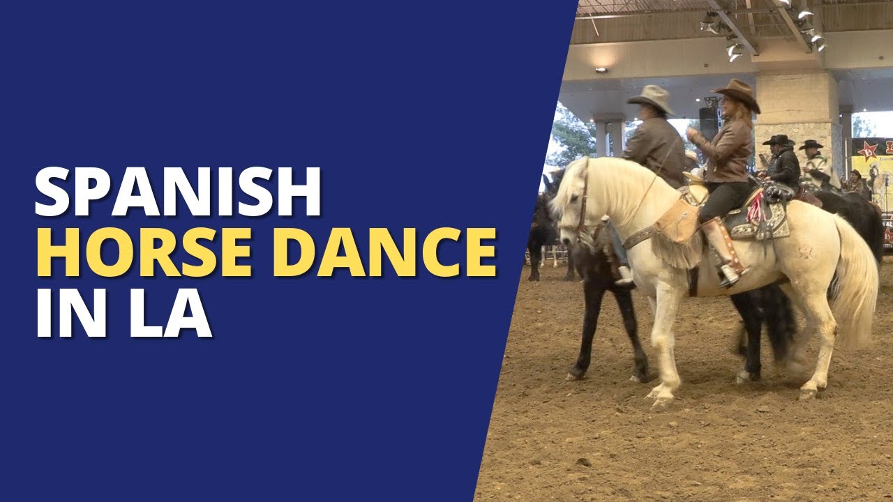 ANNUAL SPANISH HORSE DANCING SHOW COMES TO LA - YouTube
