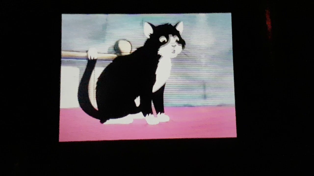 Little Bear Exploring Part 2 - YouTube