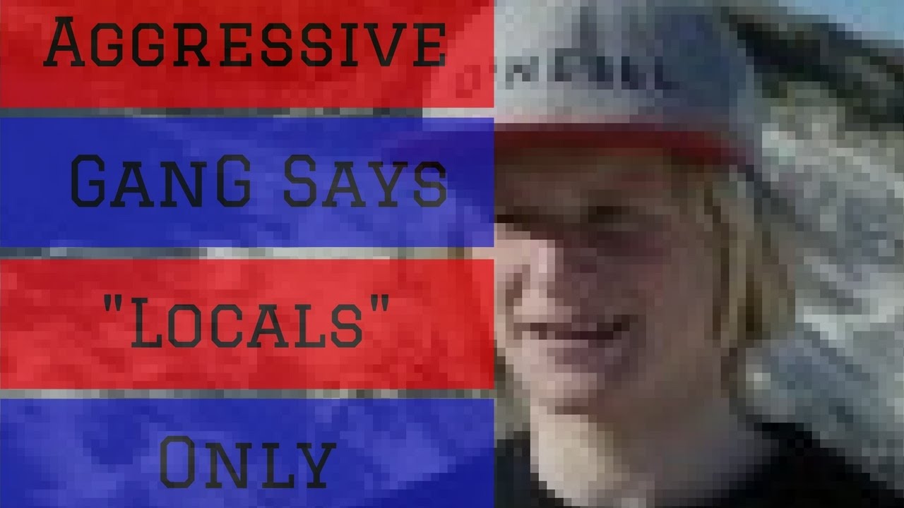 Annoyed Dolphin Gang Takes Down Surfer Grom - YouTube