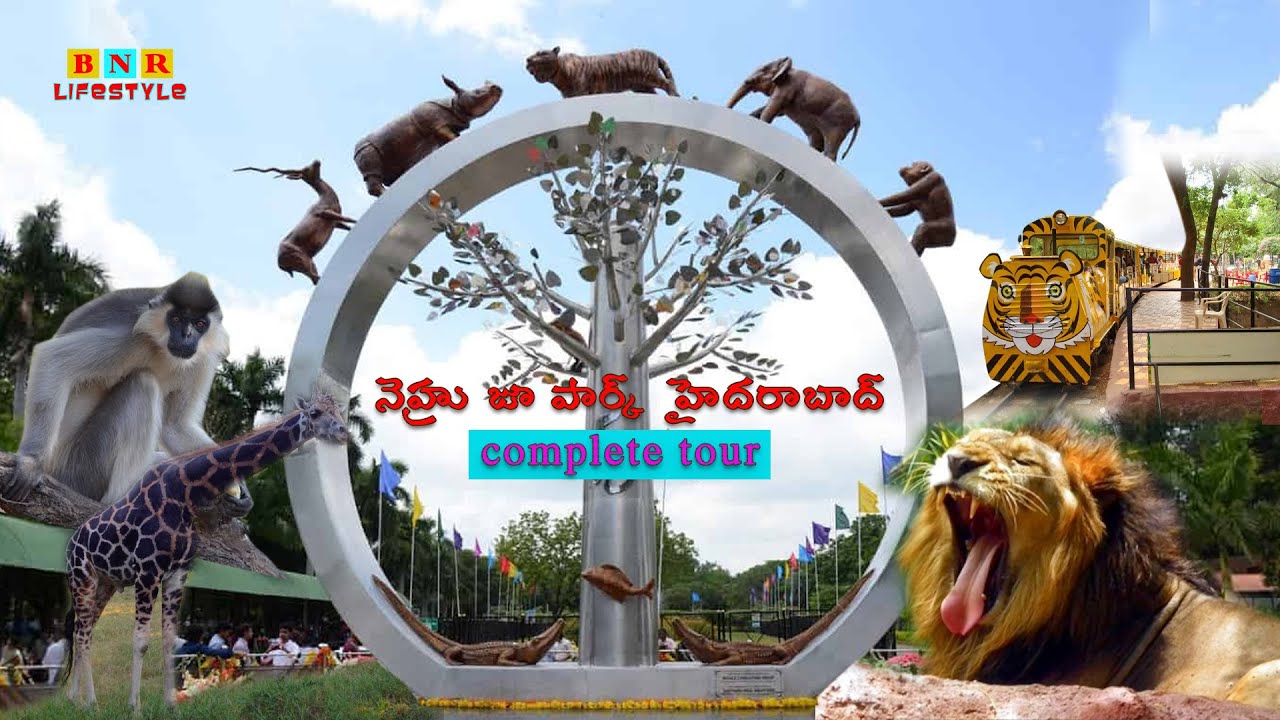 Nehru Zoo Park Hyderabad | Zoo Park Complete Tour 2023 - YouTube