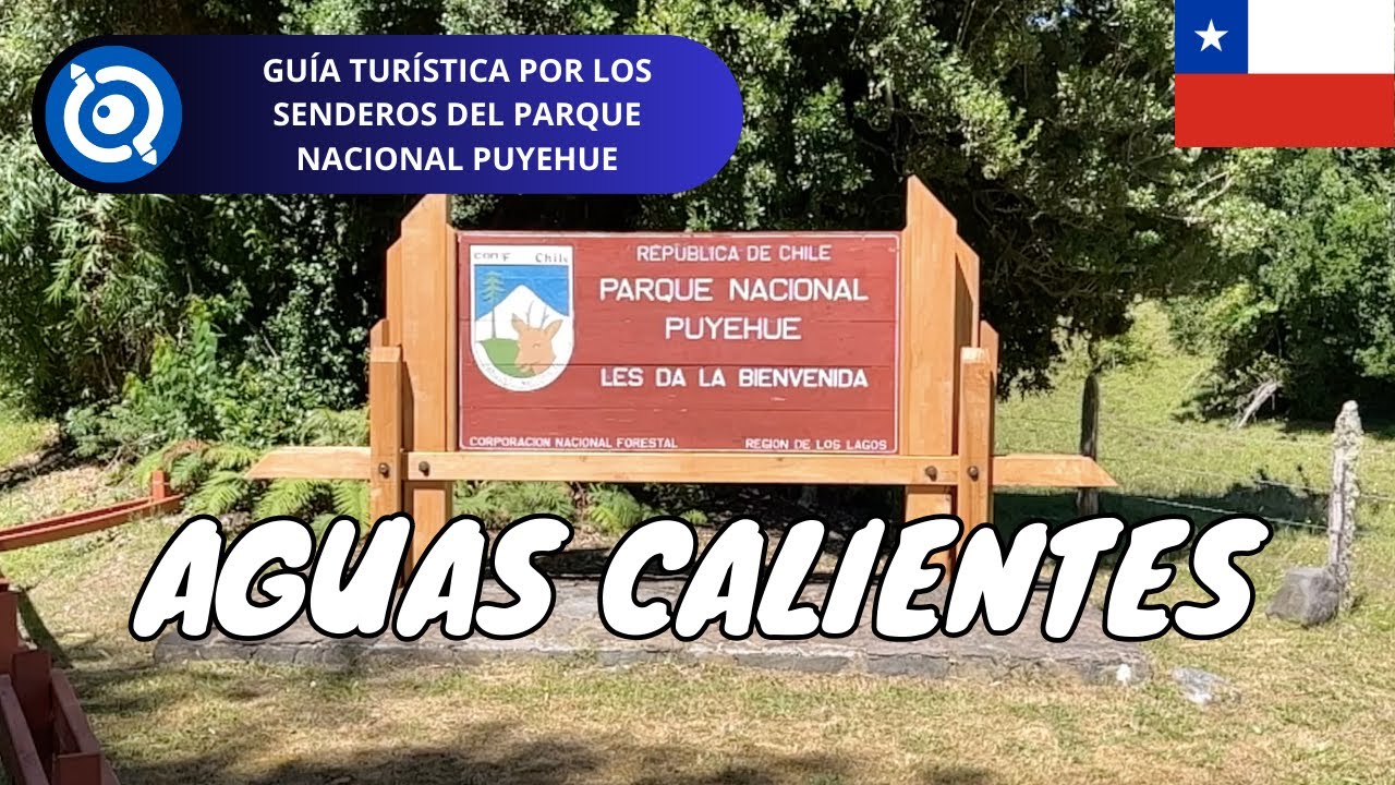 Aguas Calientes | Parque Nacional Puyehue, Chile (Qué Ver y Hacer ...
