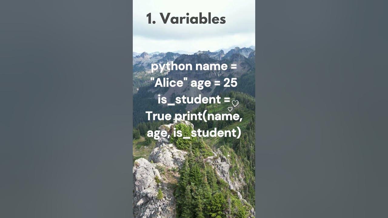 Python Variables Python For Beginners Python Coding Programming