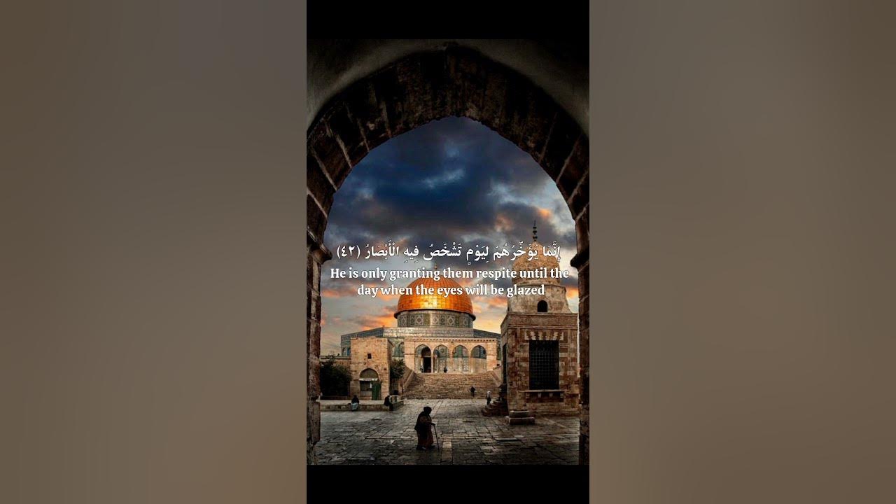 قران بصوت جميل يريح القلبفلسطين 🤲🏻🖤 Youtube