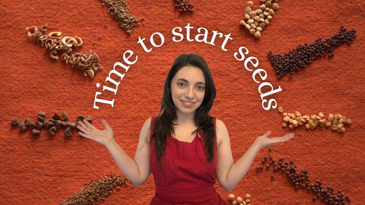 Seed sowing in March: A guide for zone 5 gardeners in Canada!🌱🍁 - YouTube