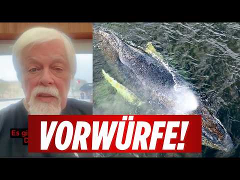 Kapitän Paul Watson ERHEBT SCHWERE VORWÜRFE GEGEN REGIERUNG! Warum wird Wal Timmy nicht geholfen?