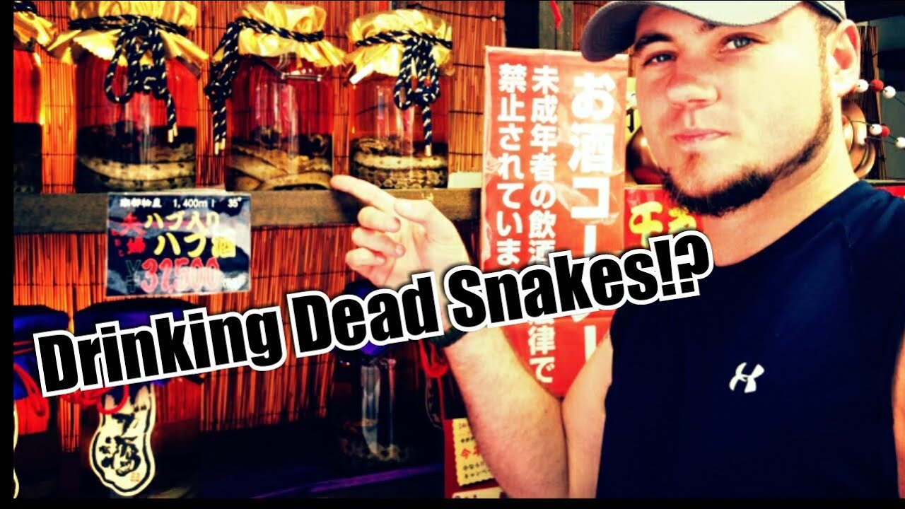 Japan Life 101: CRAZY ALCOHOL! 'Habushu' - YouTube