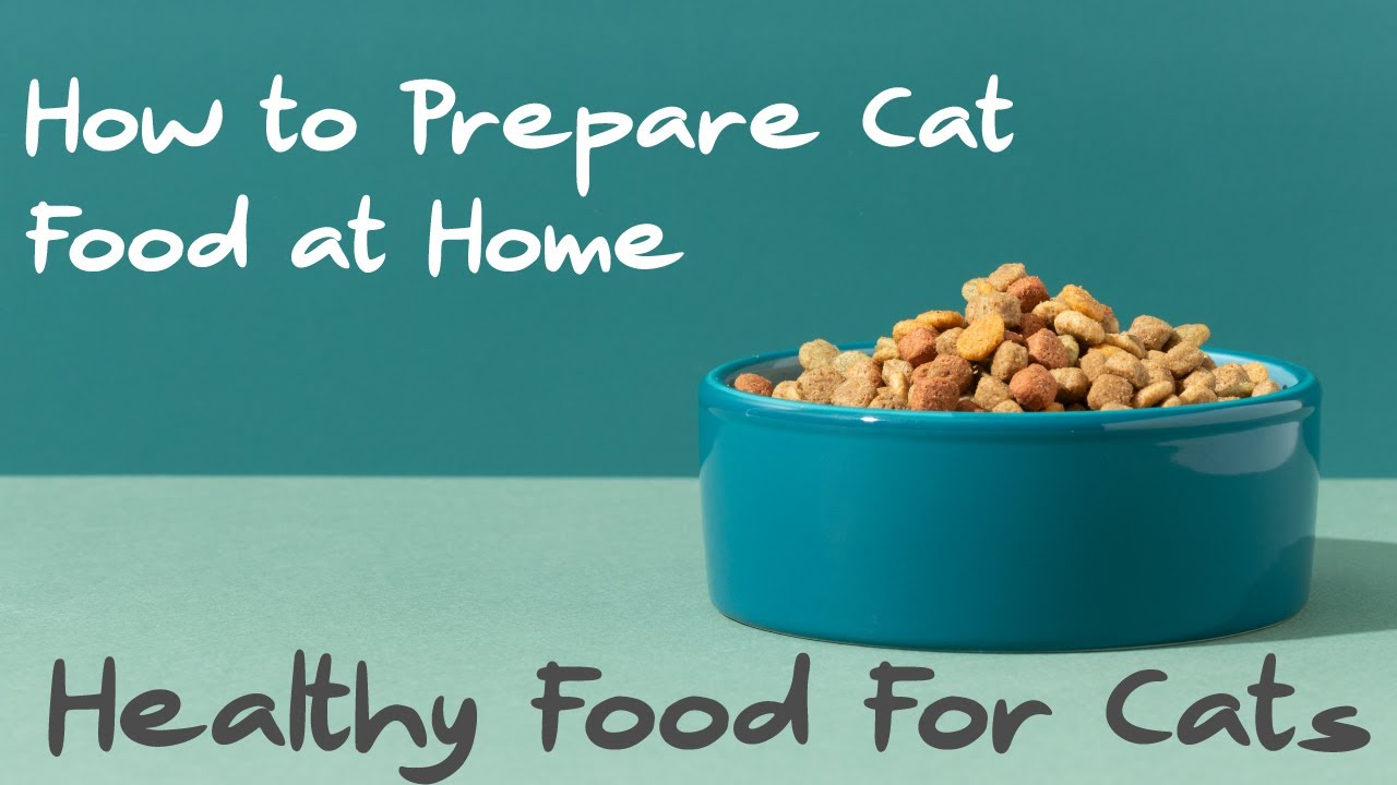 How to prepare cat food at home | Healthy food for cats - YouTube