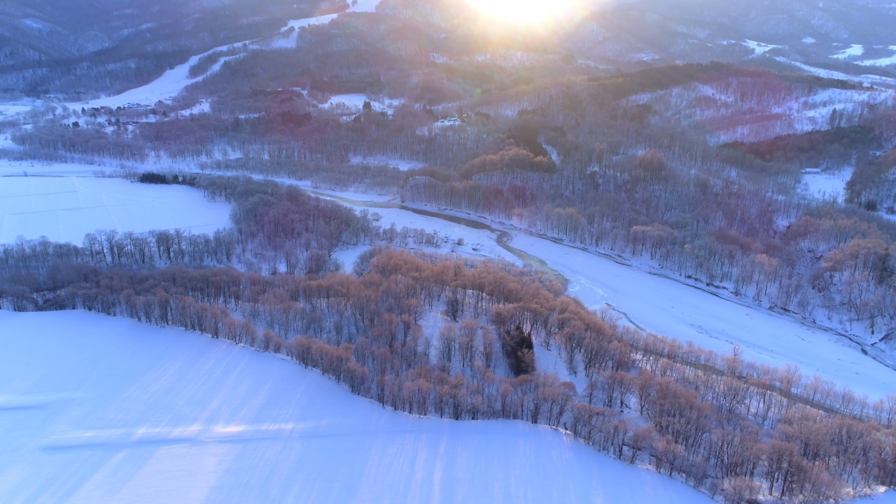 frozen morning - YouTube