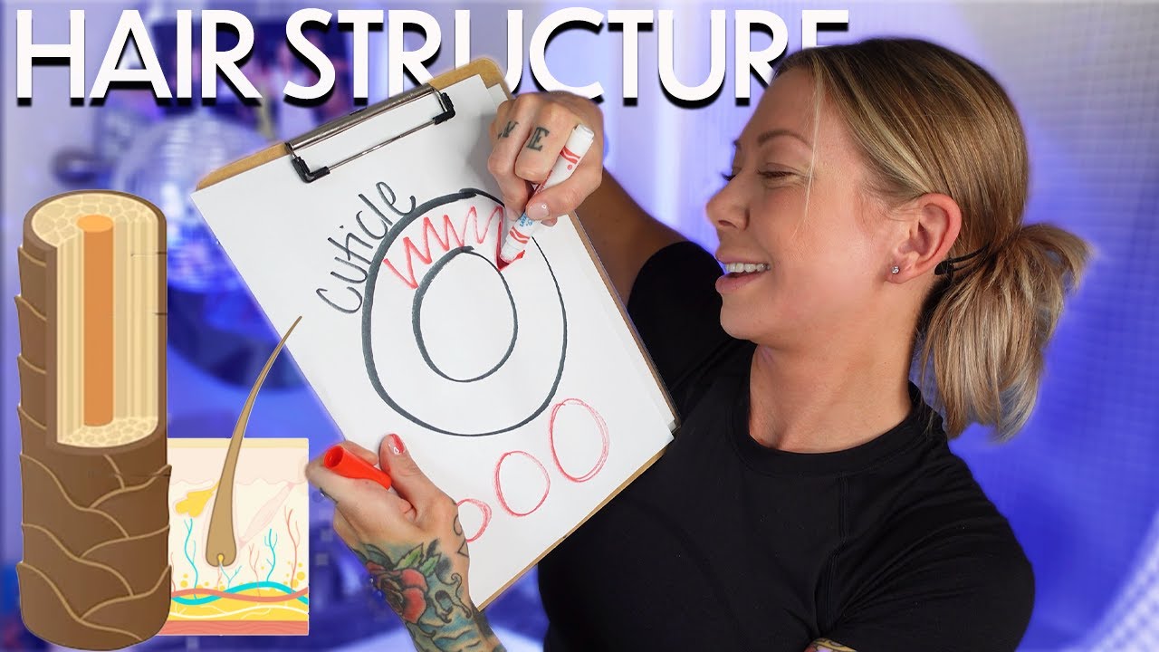 hair structure theory for hair color | 2024 - YouTube