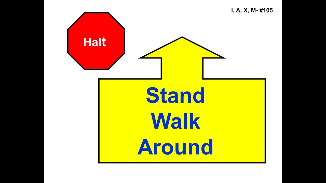 105. HALT – Stand – Walk Around - YouTube