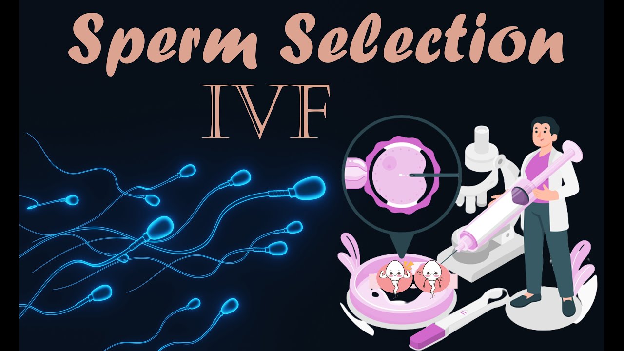 Sperm Selection Technique by Takara IVF Bangkok - YouTube